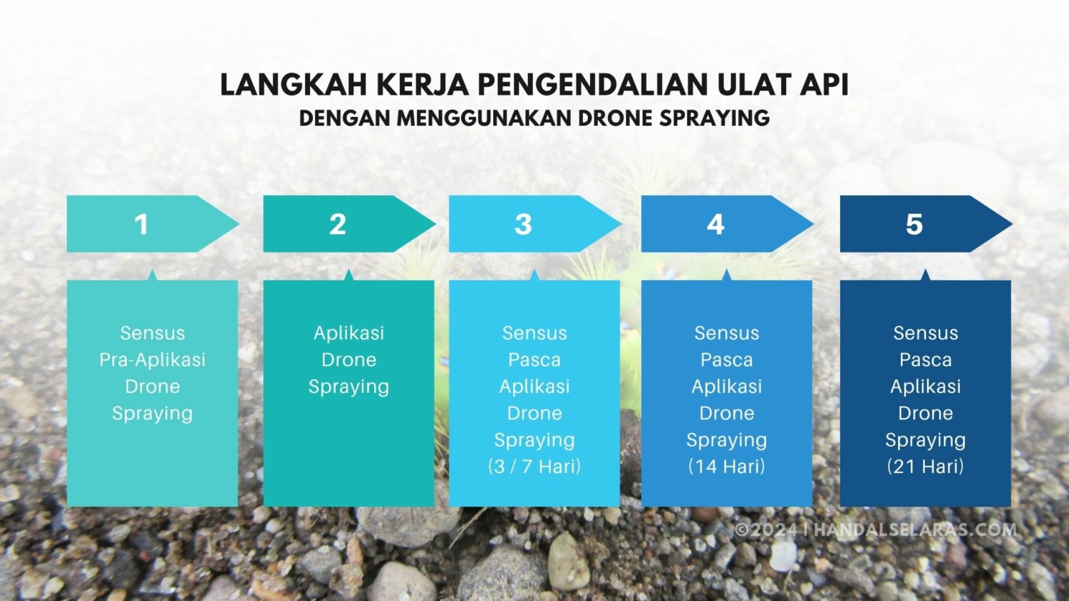 Rahasia Sukses Pengendalian Hama Ulat Api pada Perkebunan Kelapa Sawit ... Rahasia Sukses Pengendalian Hama Ulat Api pada Perkebunan Kelapa Sawit ...
